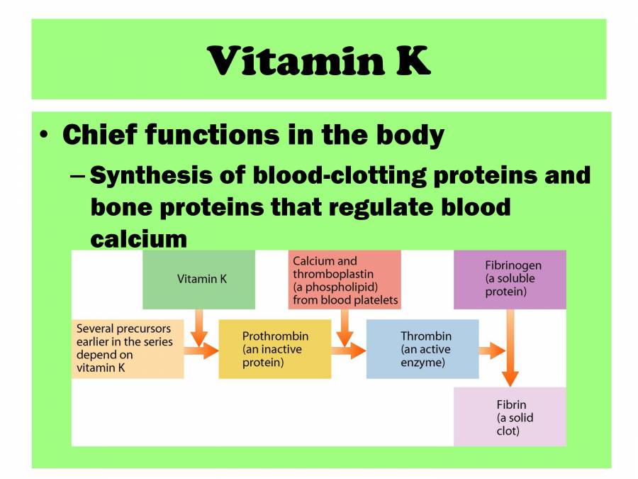 Vitamins Note - PowerPoint Slides - LearnPick India