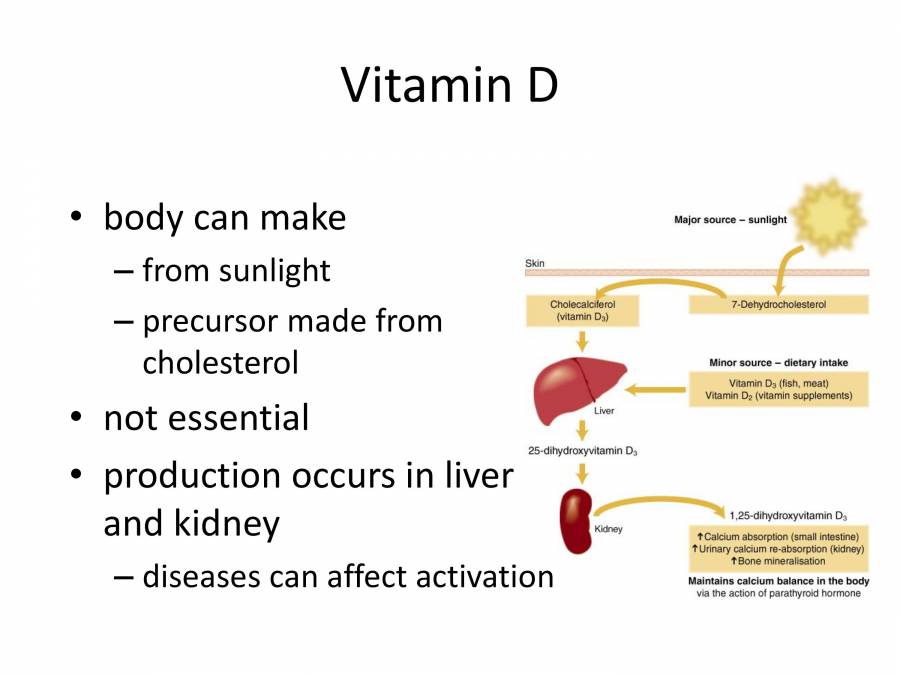 Vitamins Note - PowerPoint Slides - LearnPick India