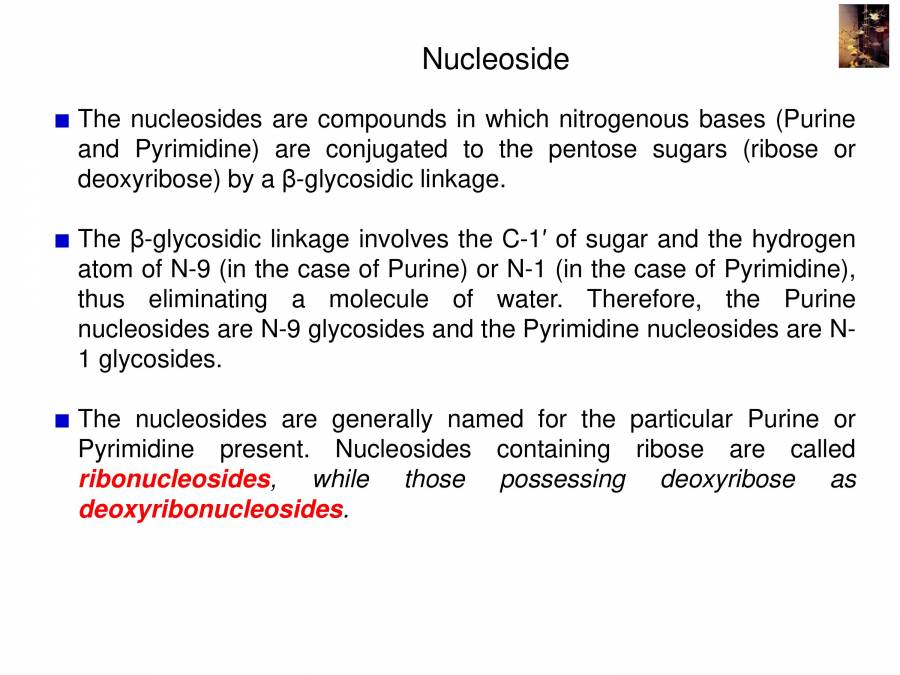 Nucleic Acid Structure - PowerPoint Slides - LearnPick India