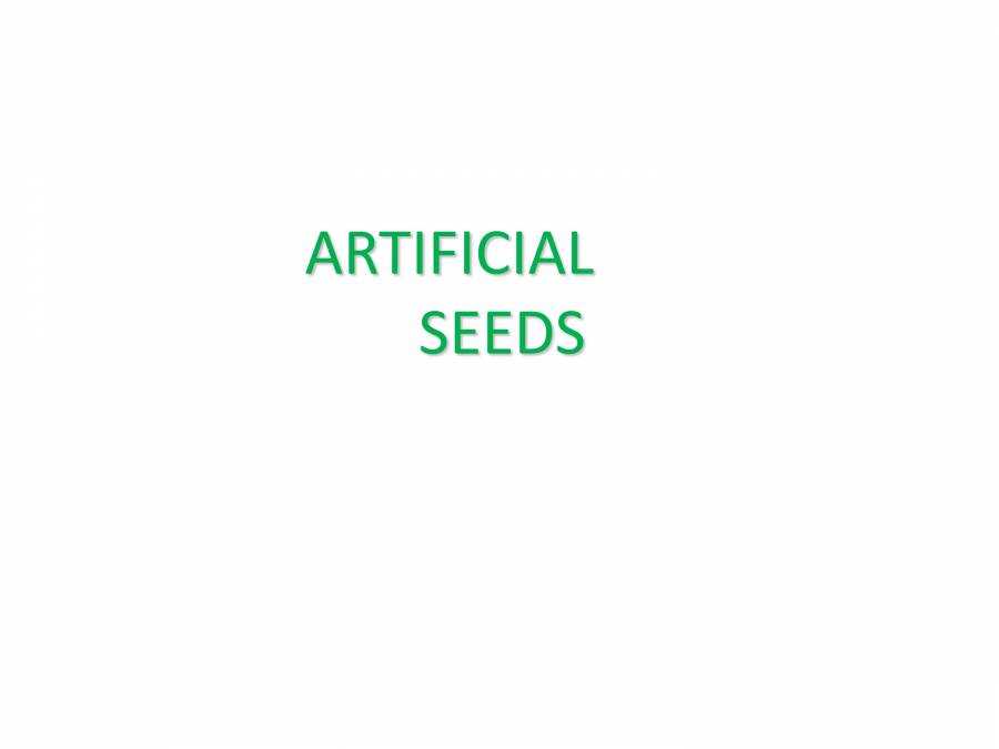Artificial Seeds - PowerPoint Slides - LearnPick India