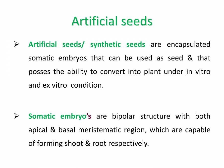 Artificial Seeds - PowerPoint Slides - LearnPick India