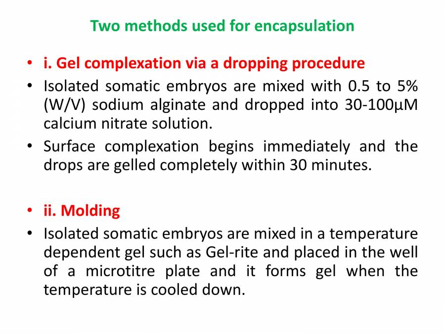Artificial Seeds - PowerPoint Slides - LearnPick India