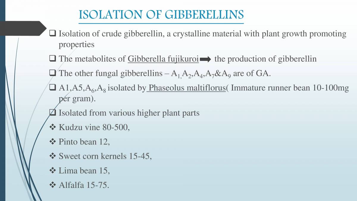 Plant Growth Hormone - Gibberellins - PowerPoint Slides - LearnPick India