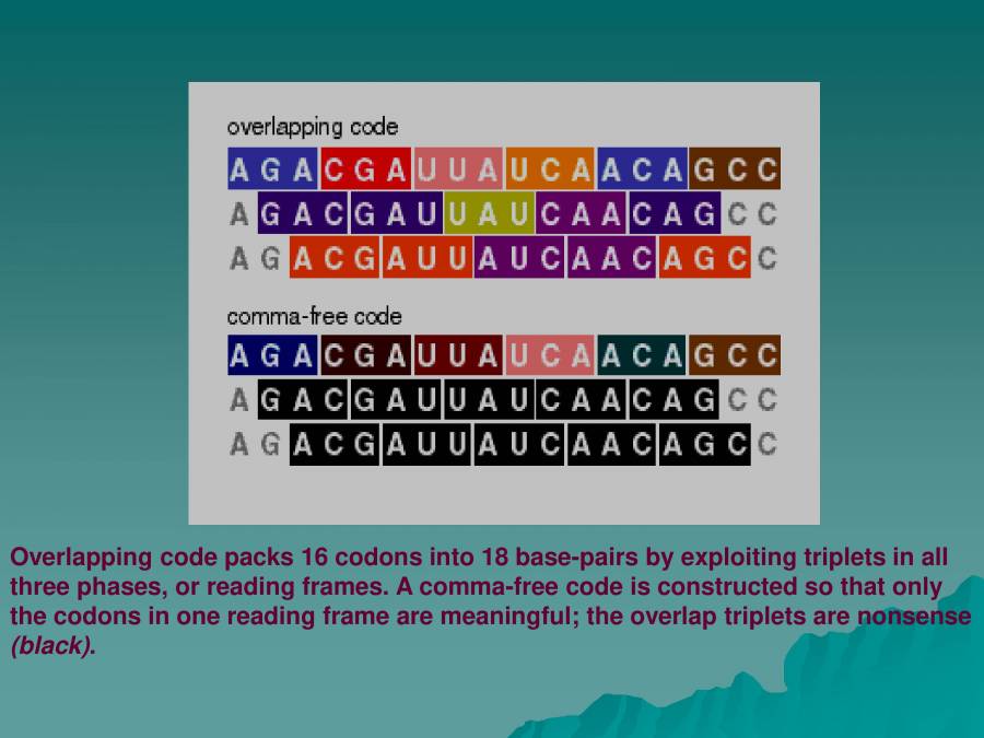 Gene Code - PowerPoint Slides - LearnPick India