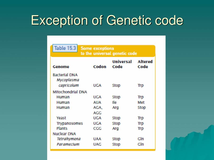 Gene Code - PowerPoint Slides - LearnPick India