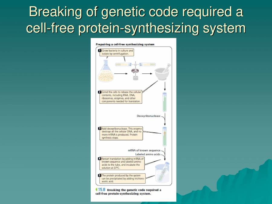 Gene Code - PowerPoint Slides - LearnPick India