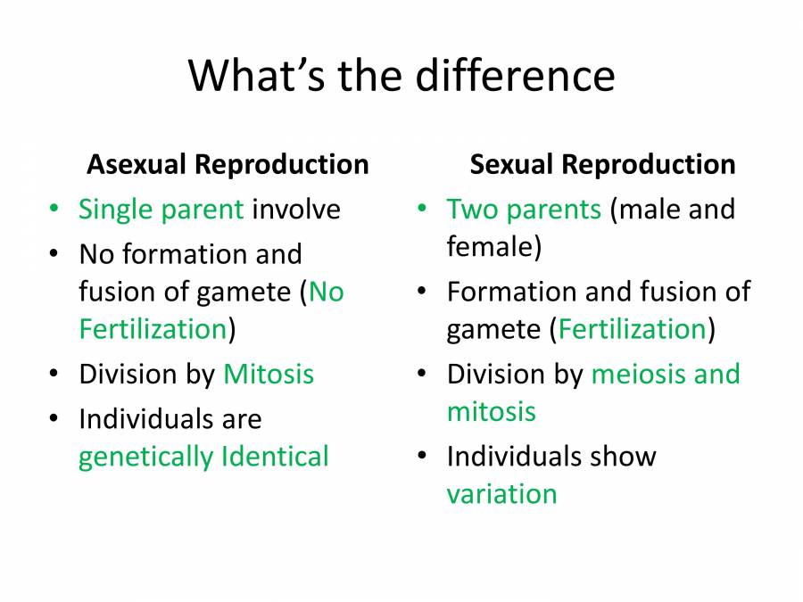 Class 12th Biology, CBSE Chapter 1 (Reproduction In Organisms ...