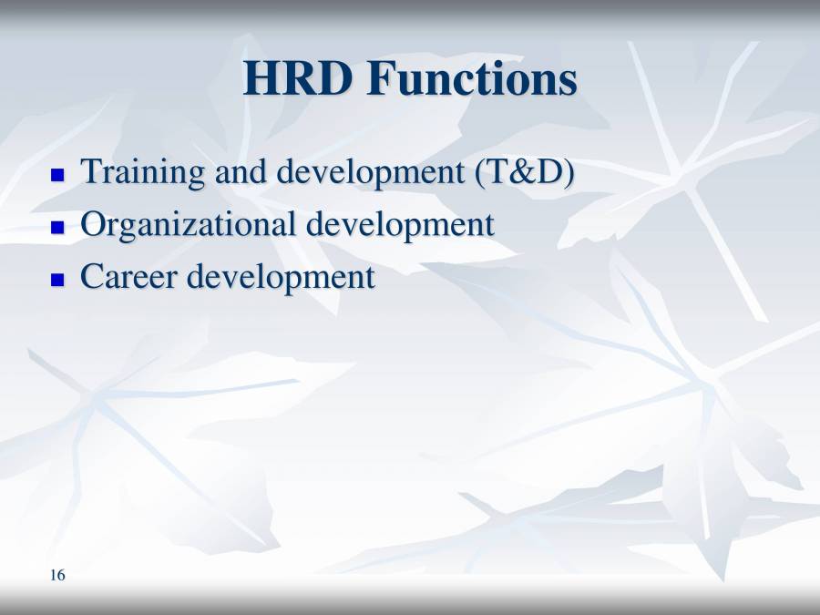 Human Resource Development - PowerPoint Slides - LearnPick India