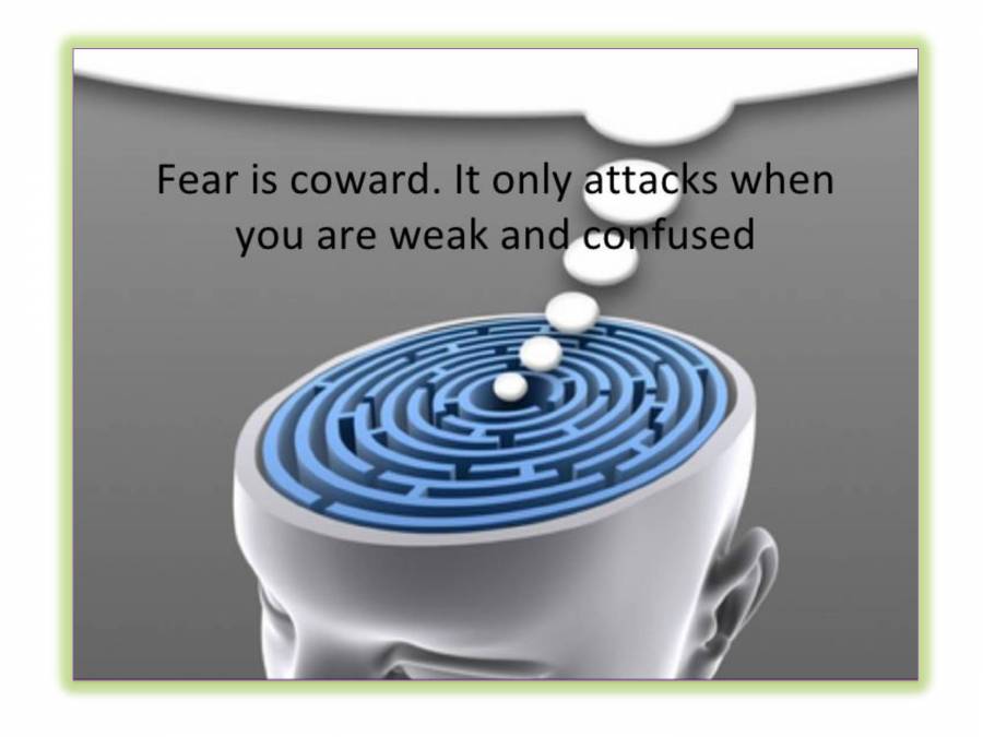 Fear-Types-Strategies To Reduce Fear - PowerPoint Slides - LearnPick India