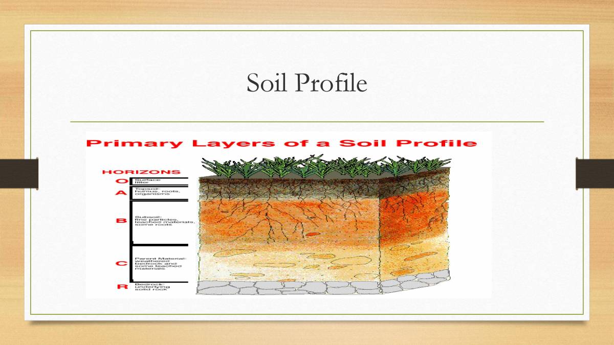 Soil - Class VII - PowerPoint Slides - LearnPick India