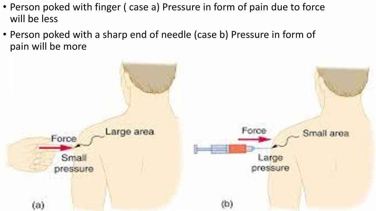 Force And Pressure - PowerPoint Slides - LearnPick India