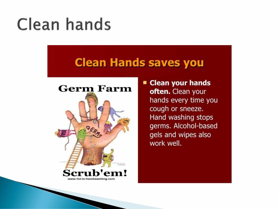 Swine Flue - PowerPoint Slides - LearnPick India