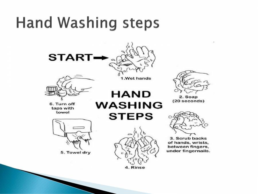 Swine Flue - PowerPoint Slides - LearnPick India