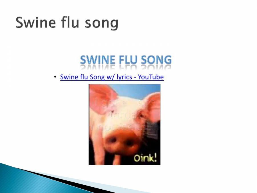 Swine Flue - PowerPoint Slides - LearnPick India