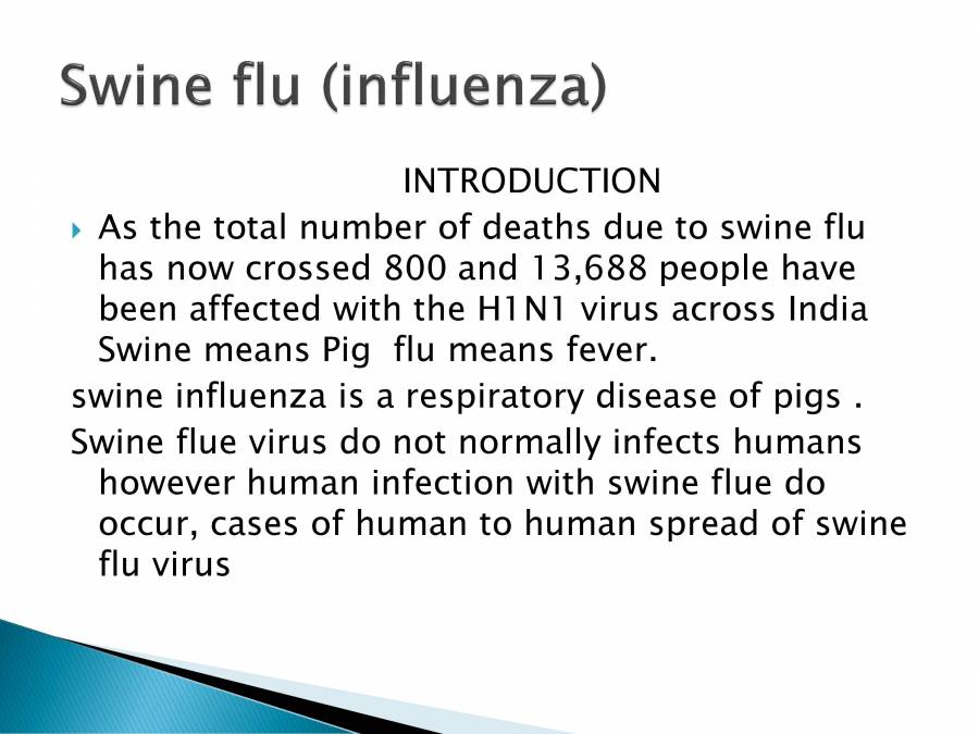 Swine Flue - PowerPoint Slides - LearnPick India