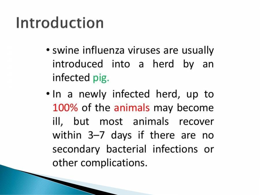 Swine Flue - PowerPoint Slides - LearnPick India