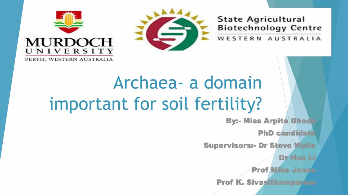 Archaea - PowerPoint Slides - LearnPick India