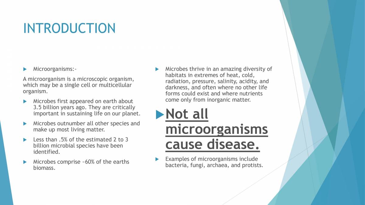 Archaea - PowerPoint Slides - LearnPick India