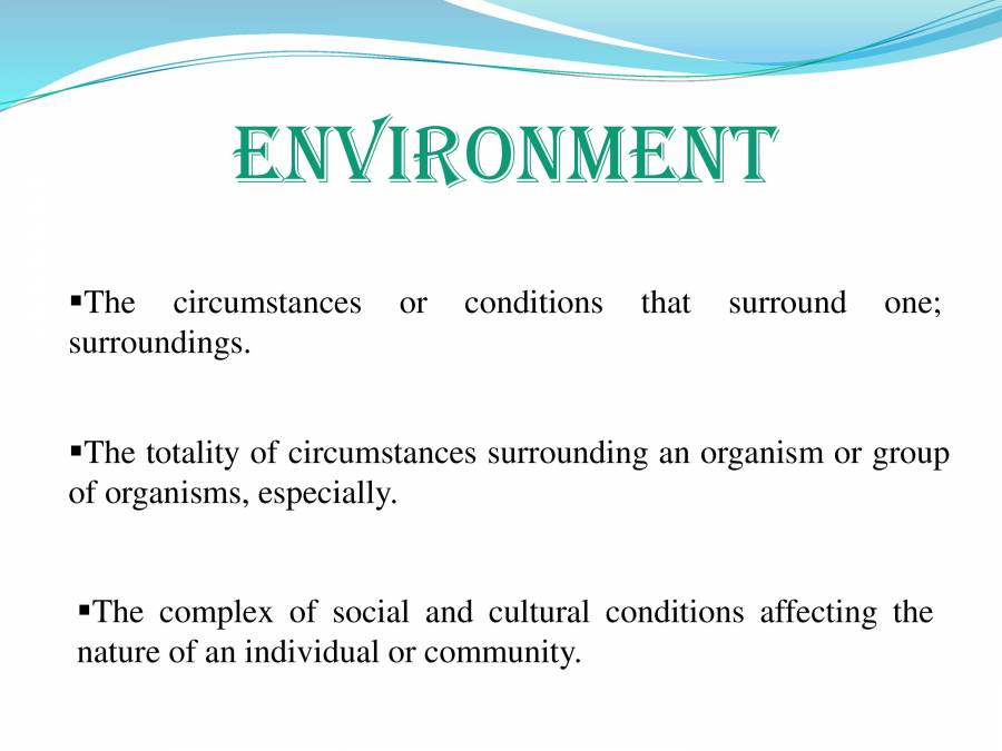 Environment Issues - PowerPoint Slides - LearnPick India