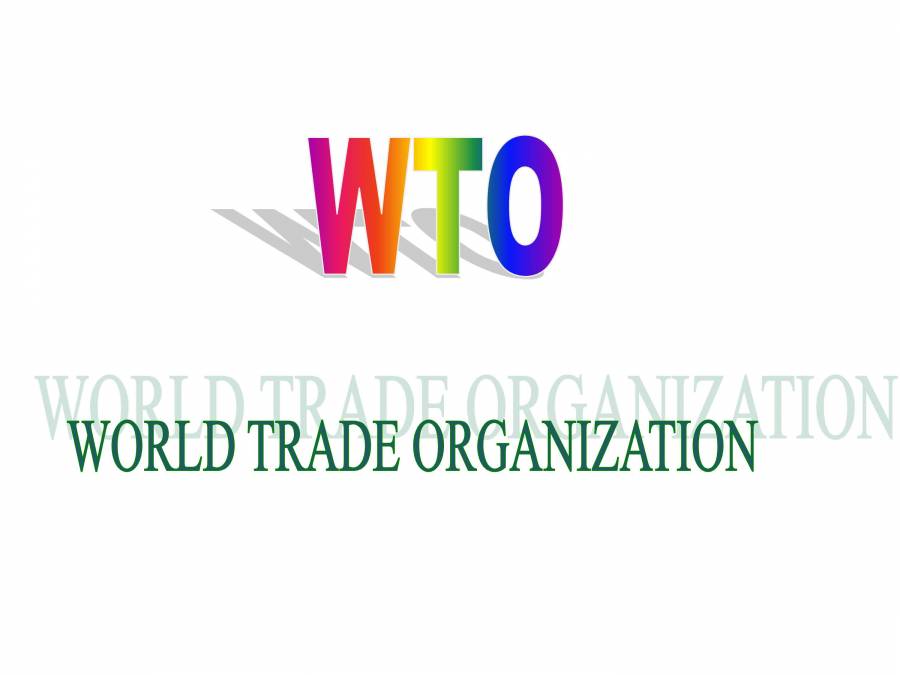 World Trade Organization - PowerPoint Slides - LearnPick India