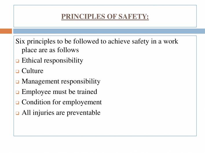 Safety Management And Techniques - PowerPoint Slides - LearnPick India