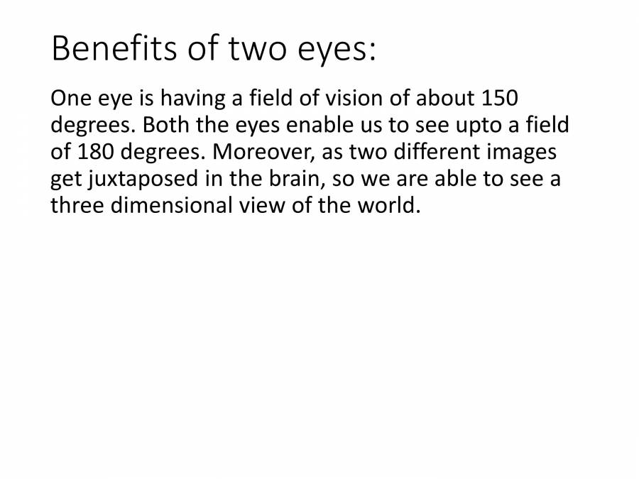Human Eye - PowerPoint Slides - LearnPick India