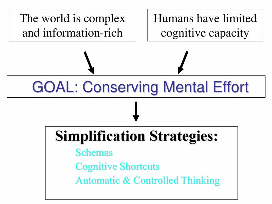 Social Psychology - PowerPoint Slides - LearnPick India