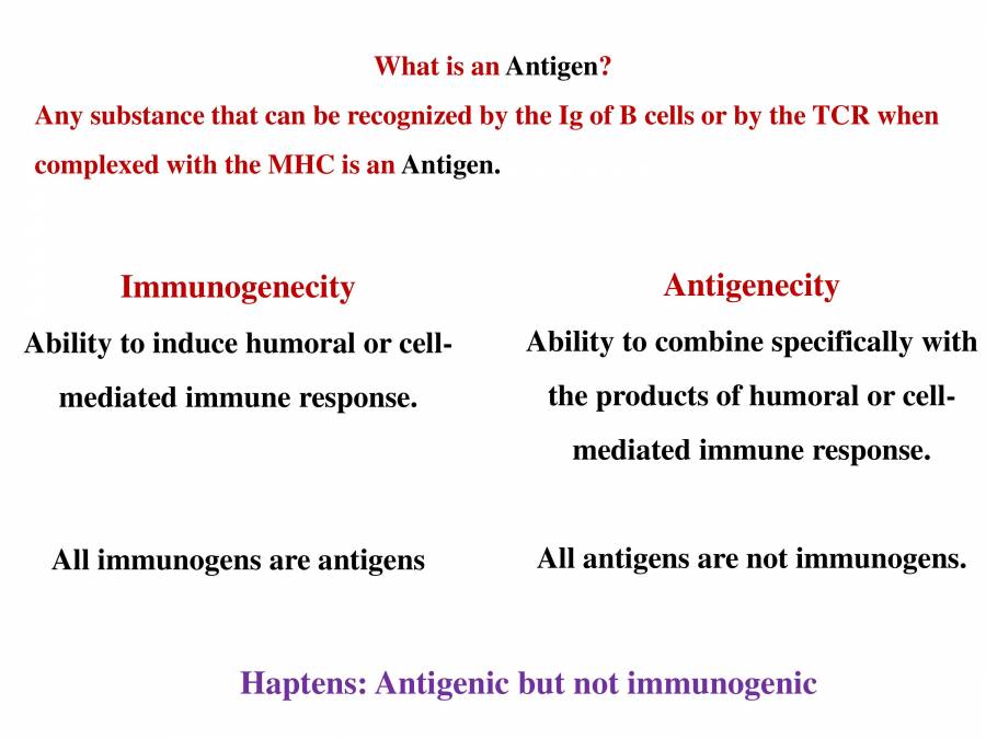 Antigens - PowerPoint Slides - LearnPick India