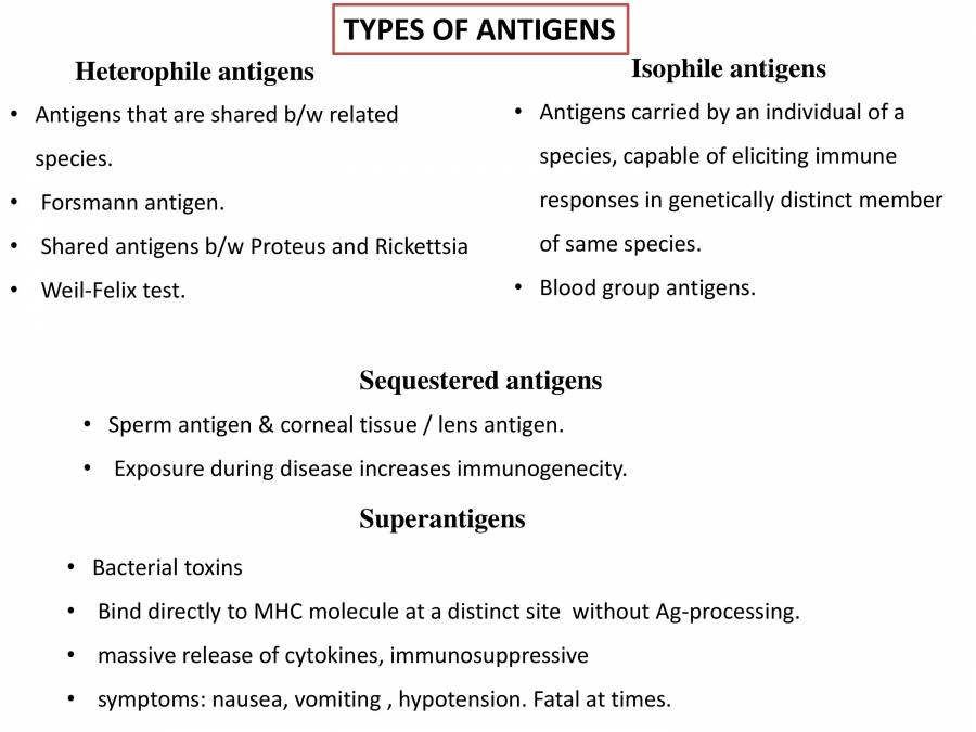 Antigens - PowerPoint Slides - LearnPick India
