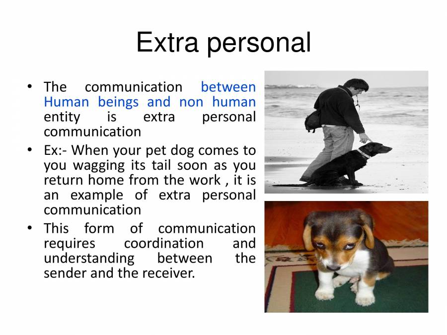 Communication Skills - PowerPoint Slides - LearnPick India