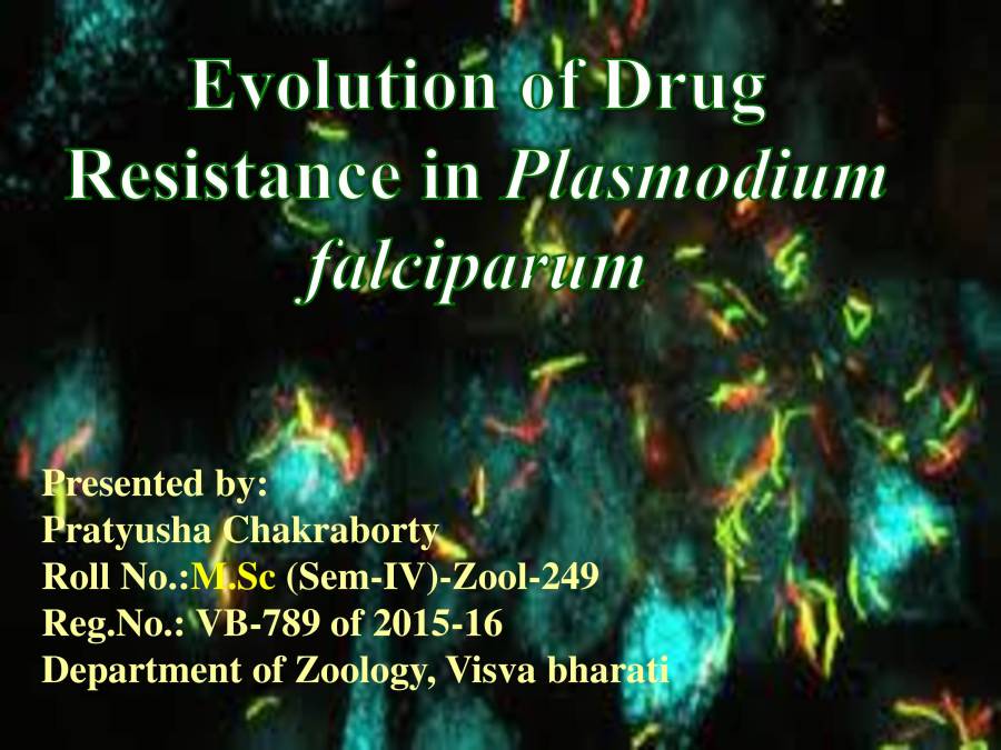 Evolution Of Drug Resistance In Plasmodium Falciparum - PowerPoint ...