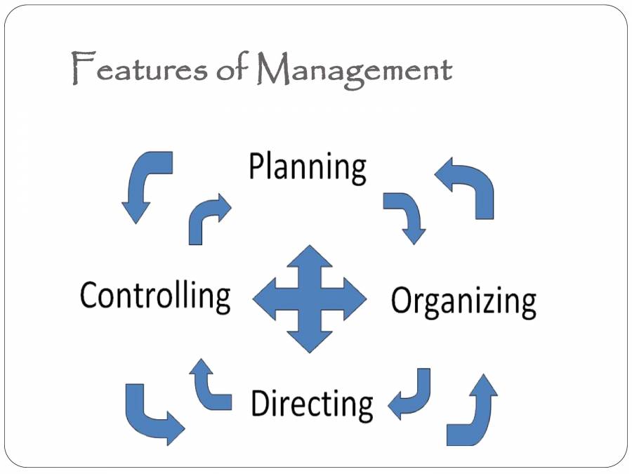 Management Process - PowerPoint Slides - LearnPick India