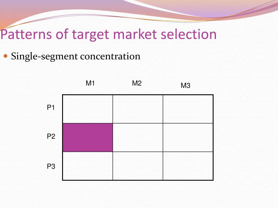 Segmenting Targeting Positioning - PowerPoint Slides - LearnPick India