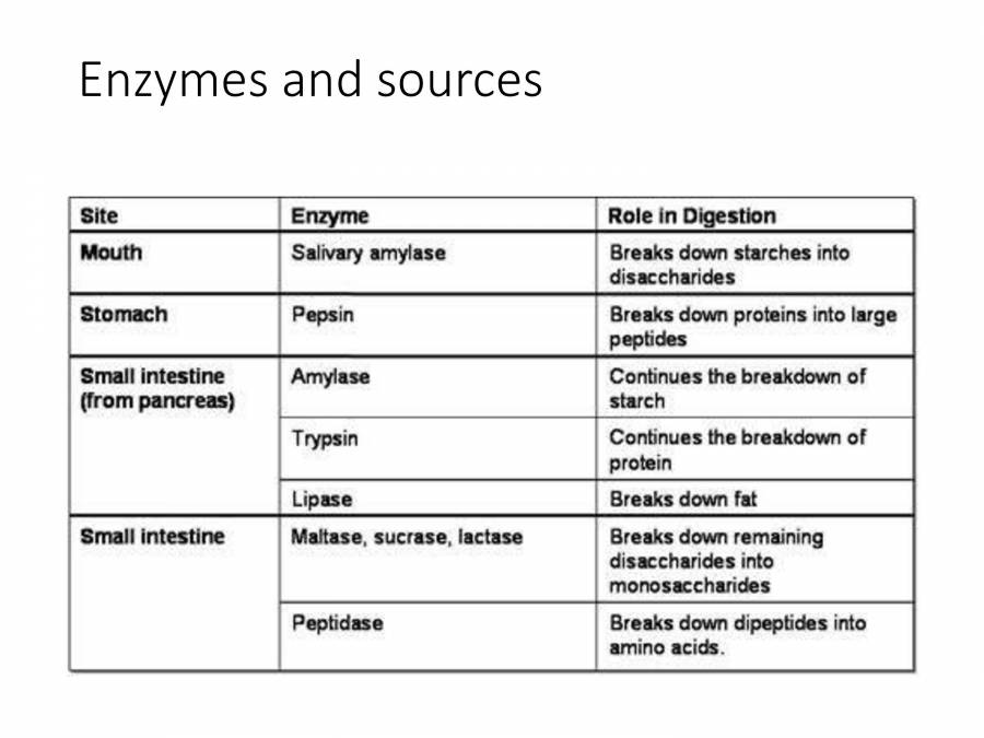 Biochemistry Of Cells - 11th - PowerPoint Slides - LearnPick India