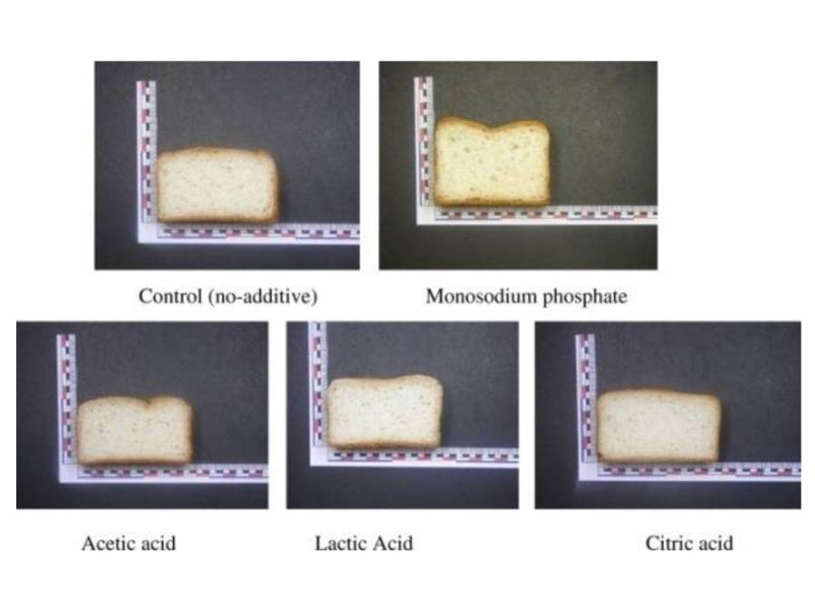 Food Additives - PowerPoint Slides - LearnPick India
