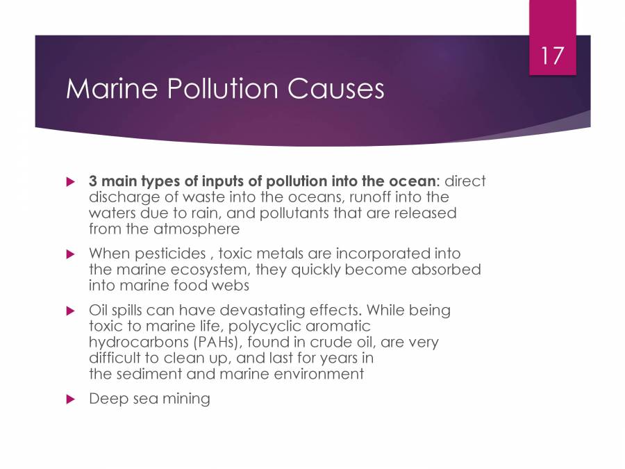 Environmental Pollution - PowerPoint Slides - LearnPick India