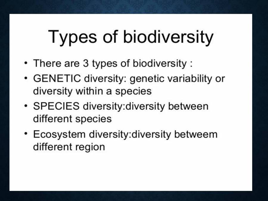 Biodiversity Powerpoint Slides Learnpick India