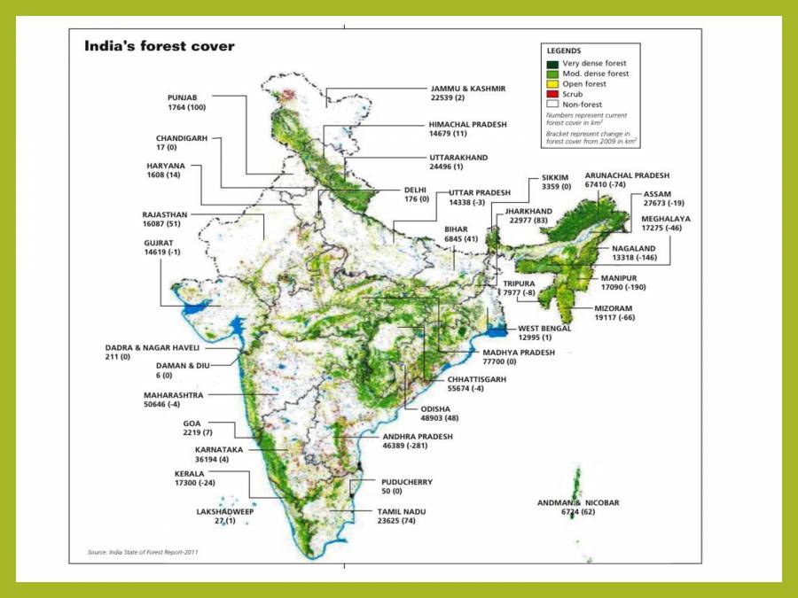 Environmental Issues : India - PowerPoint Slides - LearnPick India
