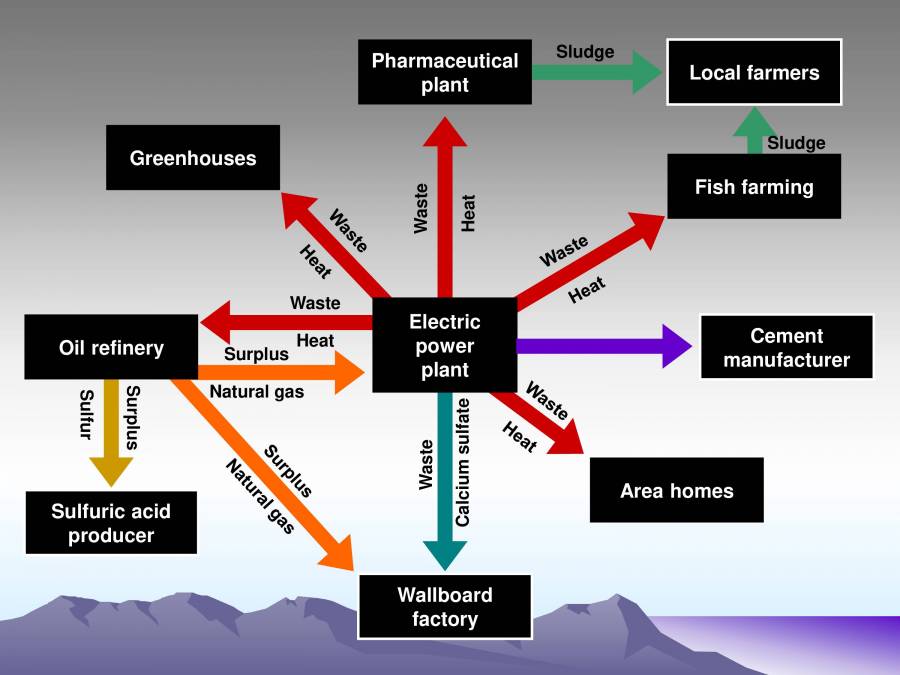Limits To Human Population Growth - PowerPoint Slides - LearnPick India