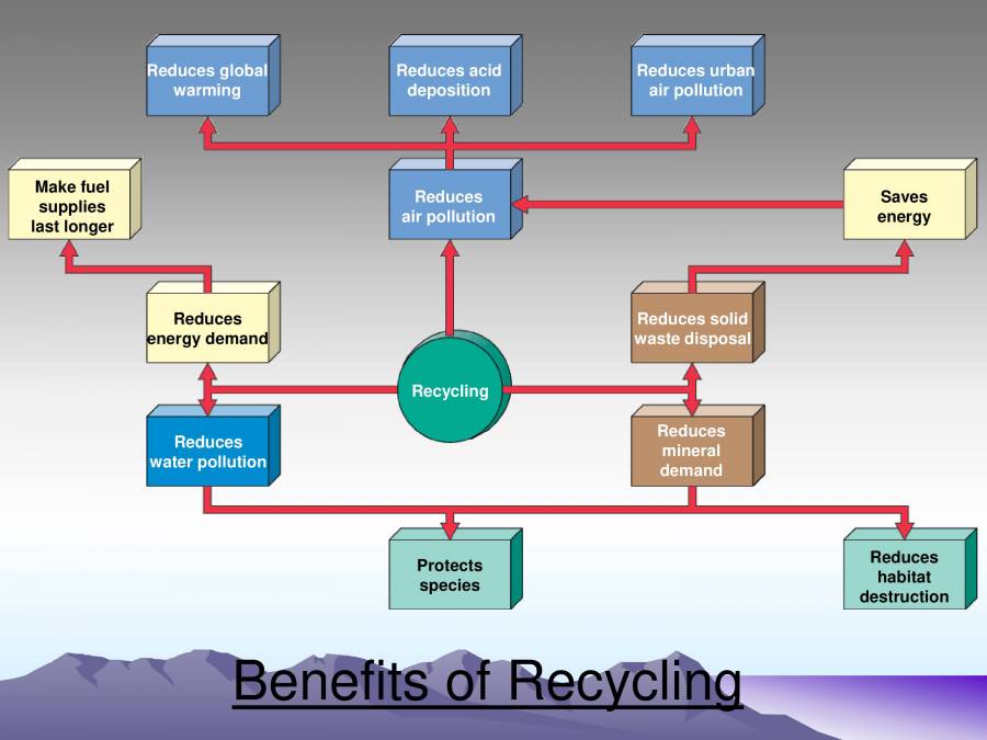 Limits To Human Population Growth - PowerPoint Slides - LearnPick India