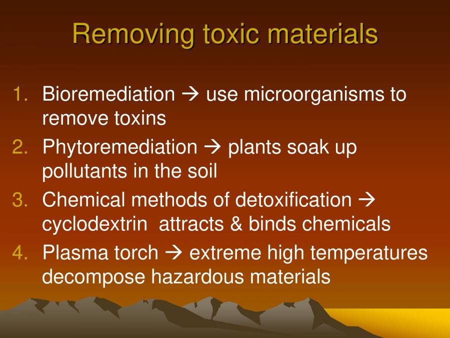 Limits To Human Population Growth - PowerPoint Slides - LearnPick India