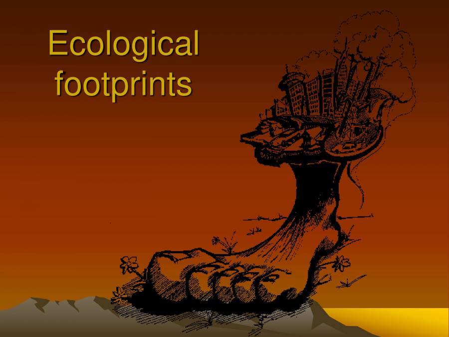 Limits To Human Population Growth - PowerPoint Slides - LearnPick India