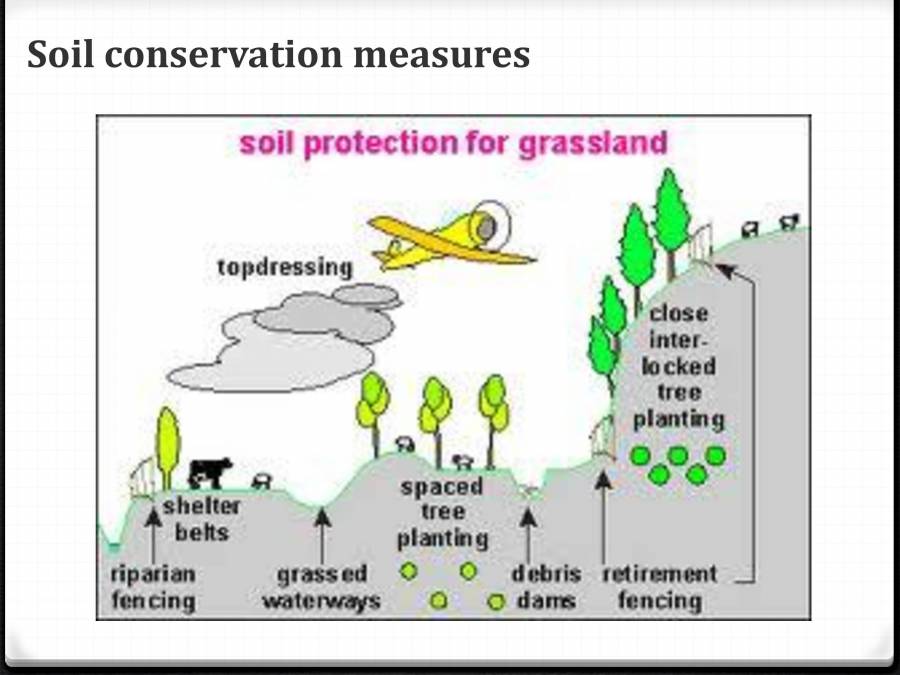 Soil Resources - PowerPoint Slides - LearnPick India