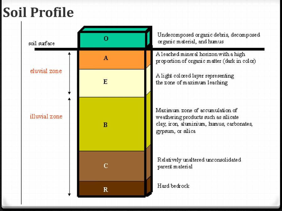 Soil Resources - PowerPoint Slides - LearnPick India