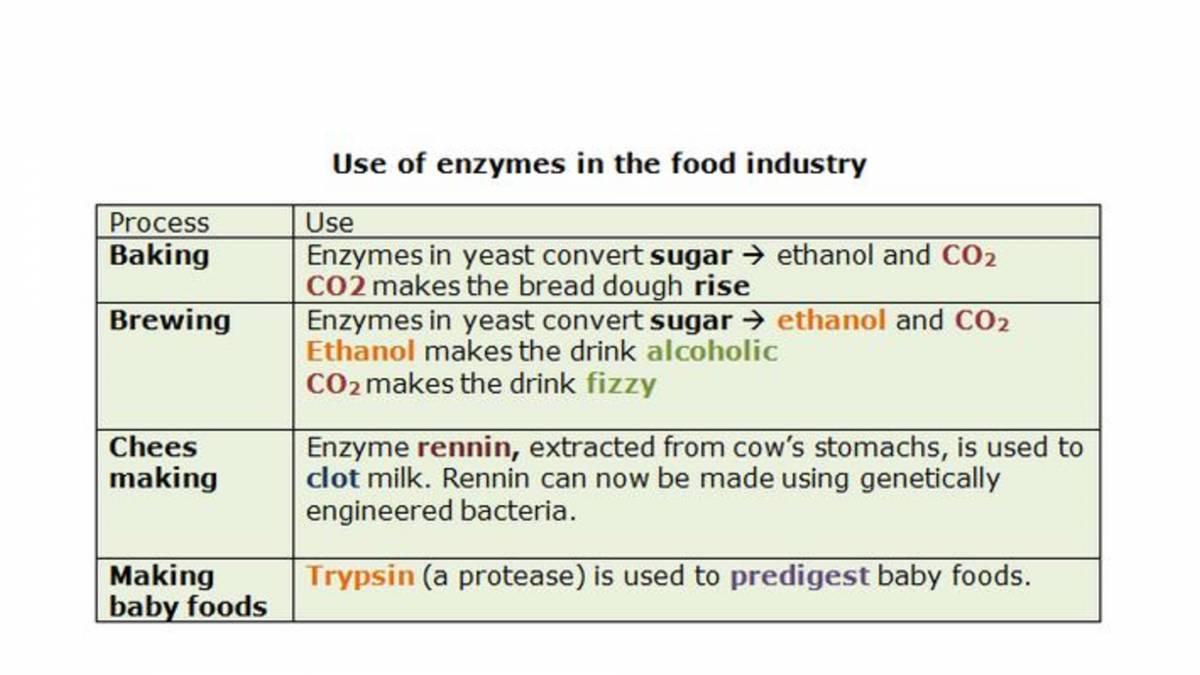 Revision On Enzymes - PowerPoint Slides - LearnPick India