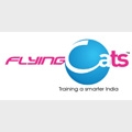 Flying Cats Institute